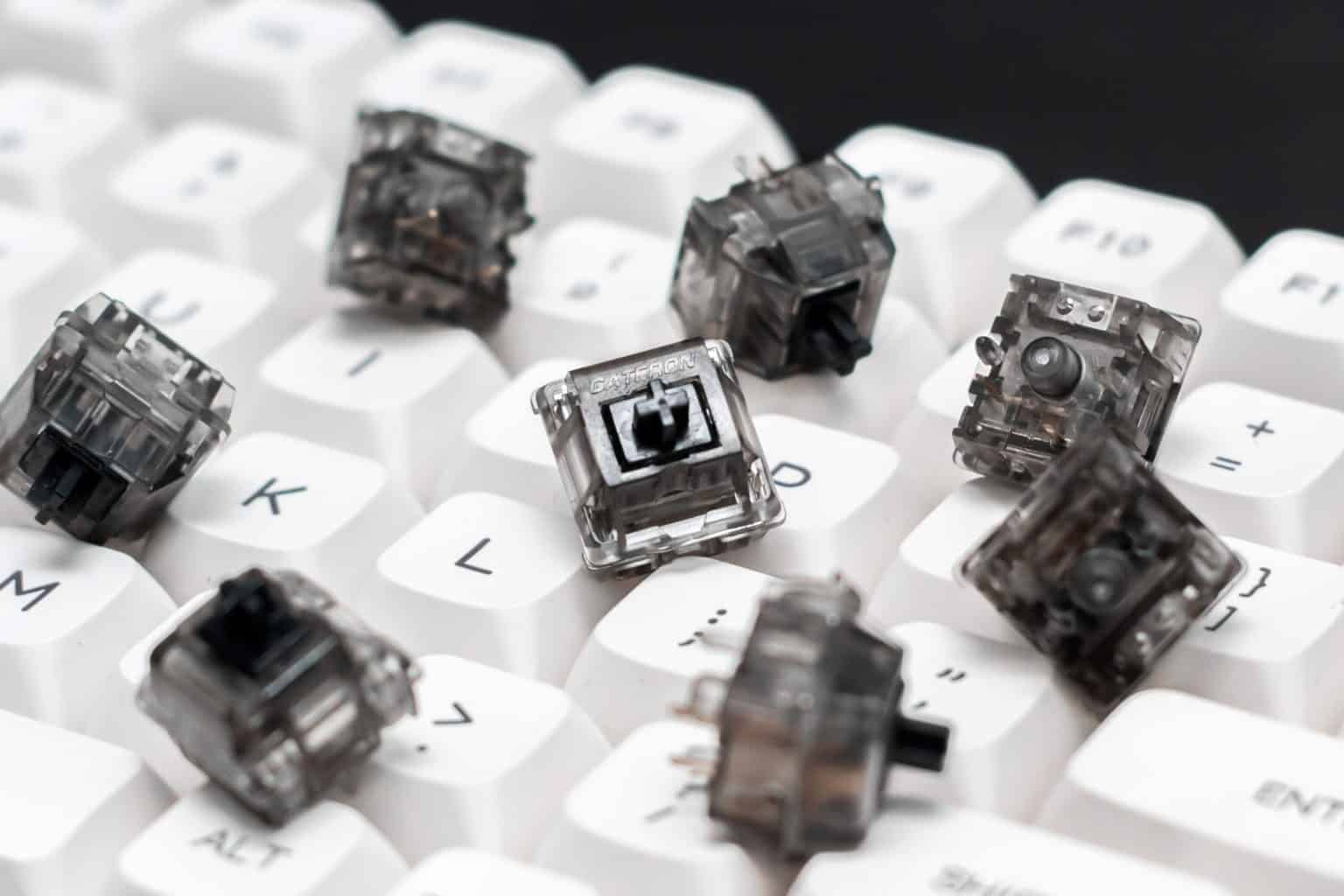 Holy Panda Switches - What are they and do you need them? - Spacehop